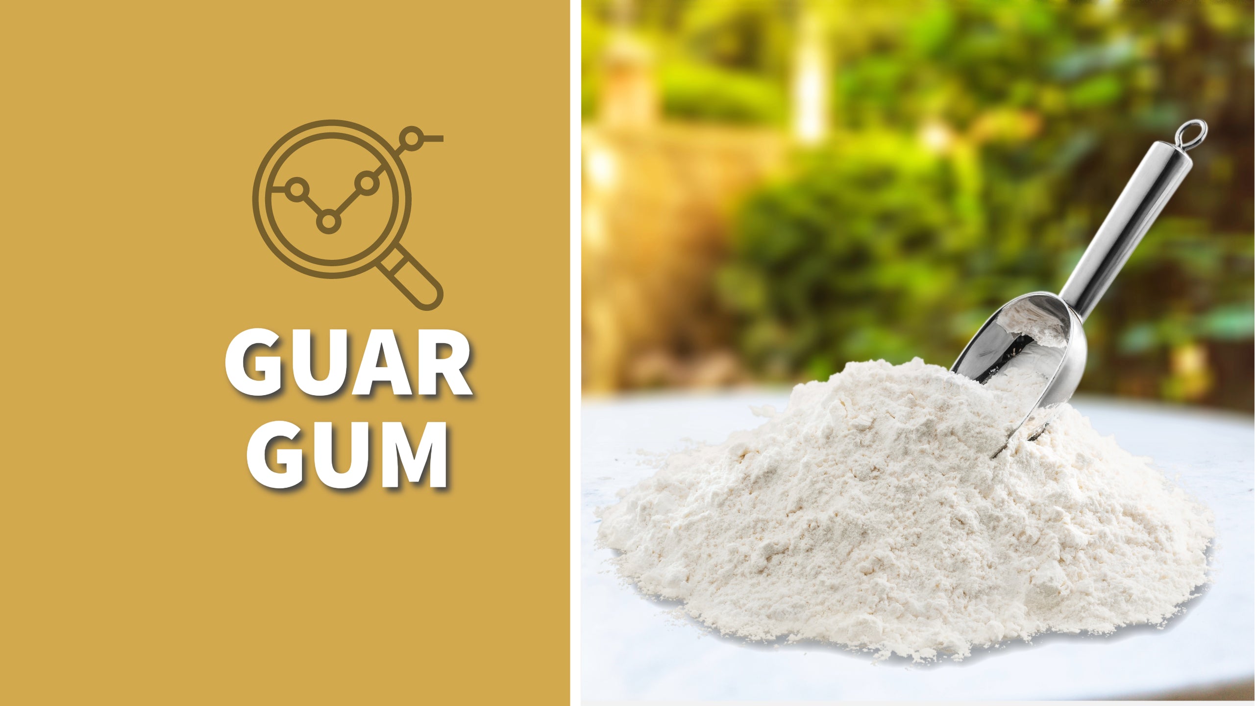 Guar Gum Guide KG Food Company